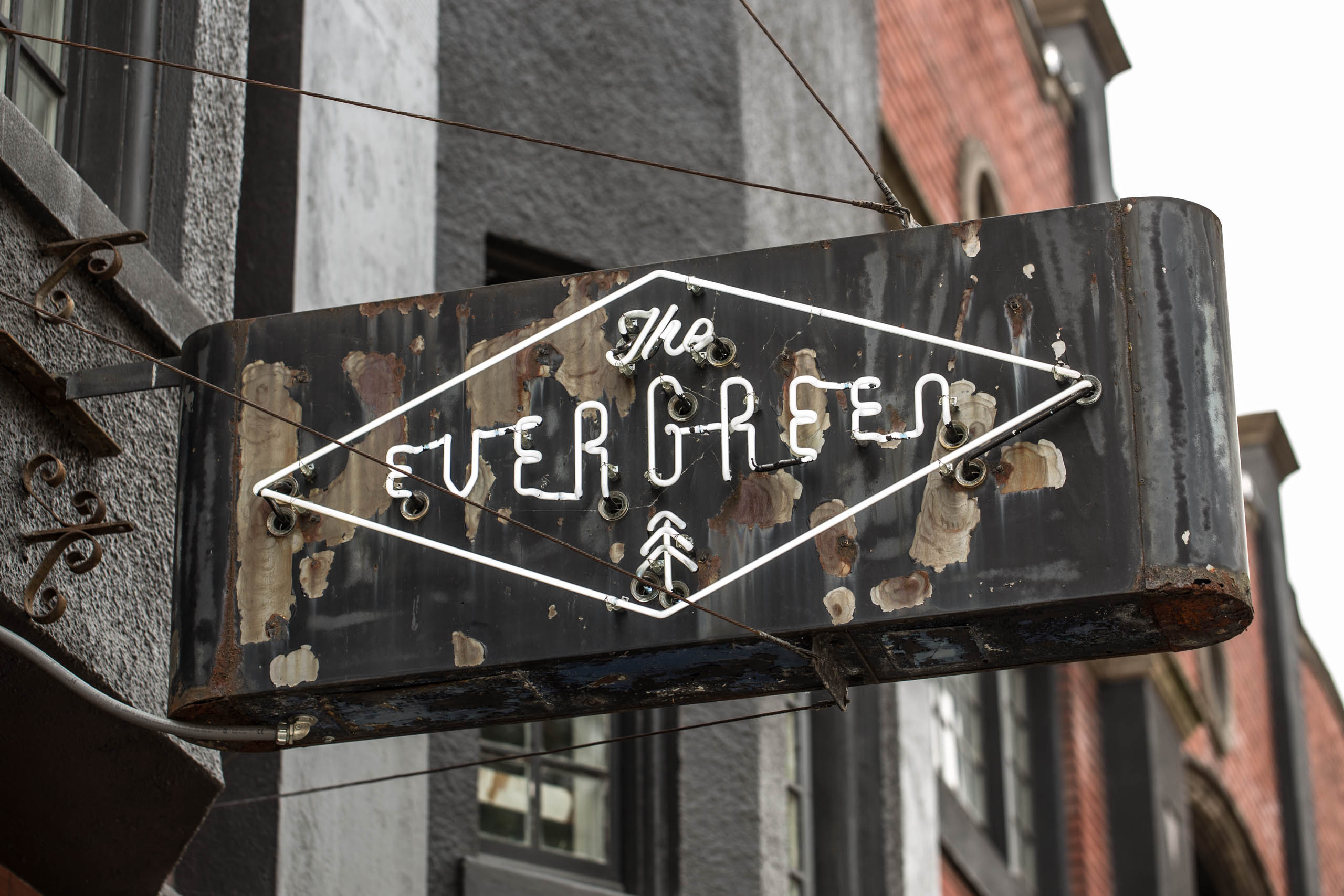 The Evergreen Branding and Web Design Portland, OR