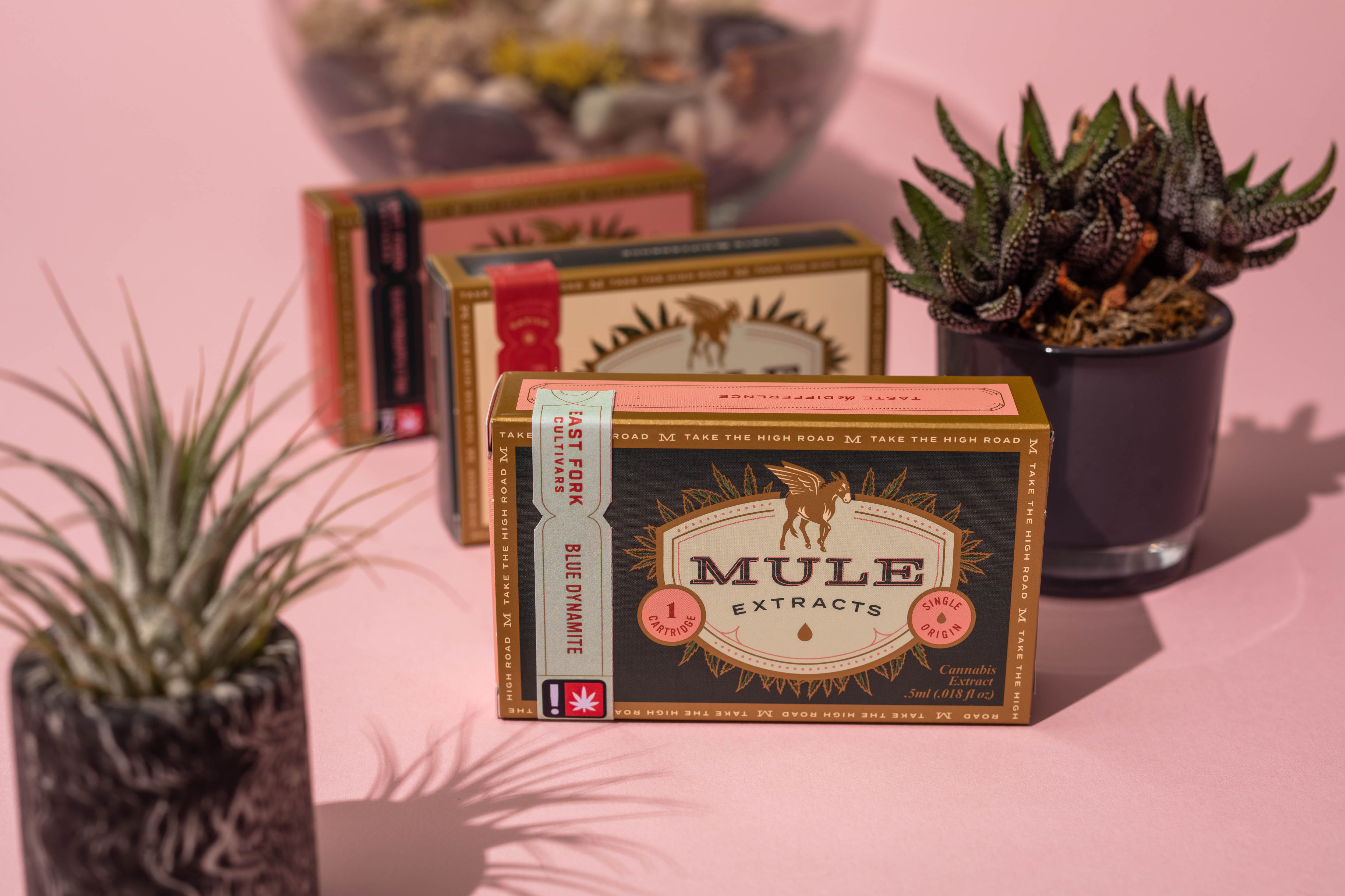 Mule Extracts - Murmur Creative